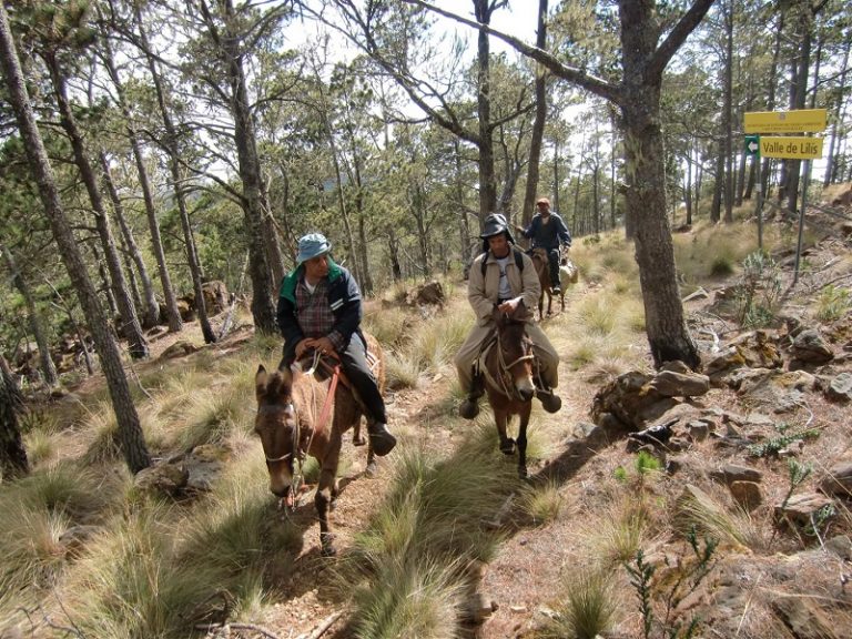 Excursiones al pico Duarte 2025-2026 – Ecoturismo Constanza